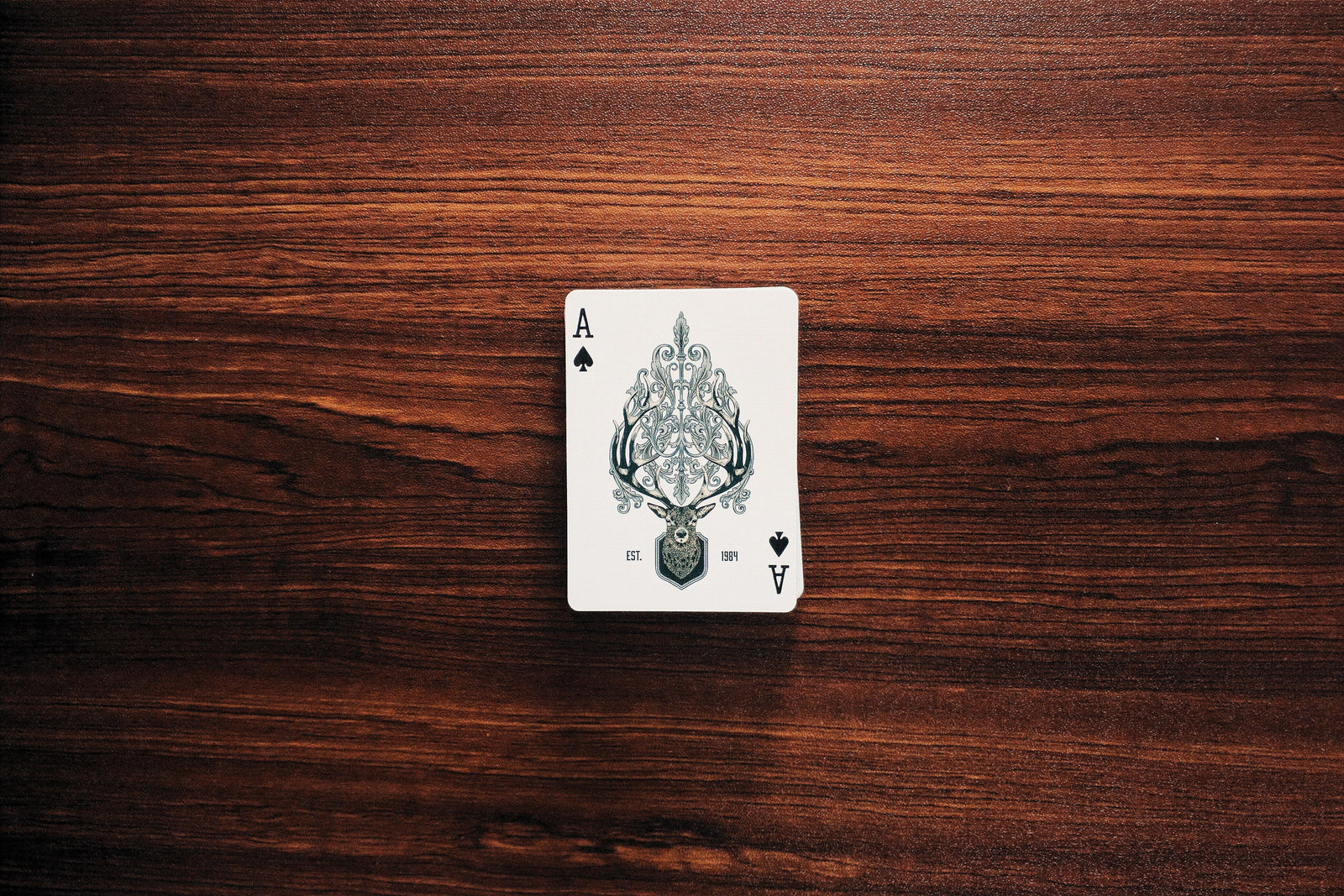 The Complete Magic Course for Beginners – My Magic Course