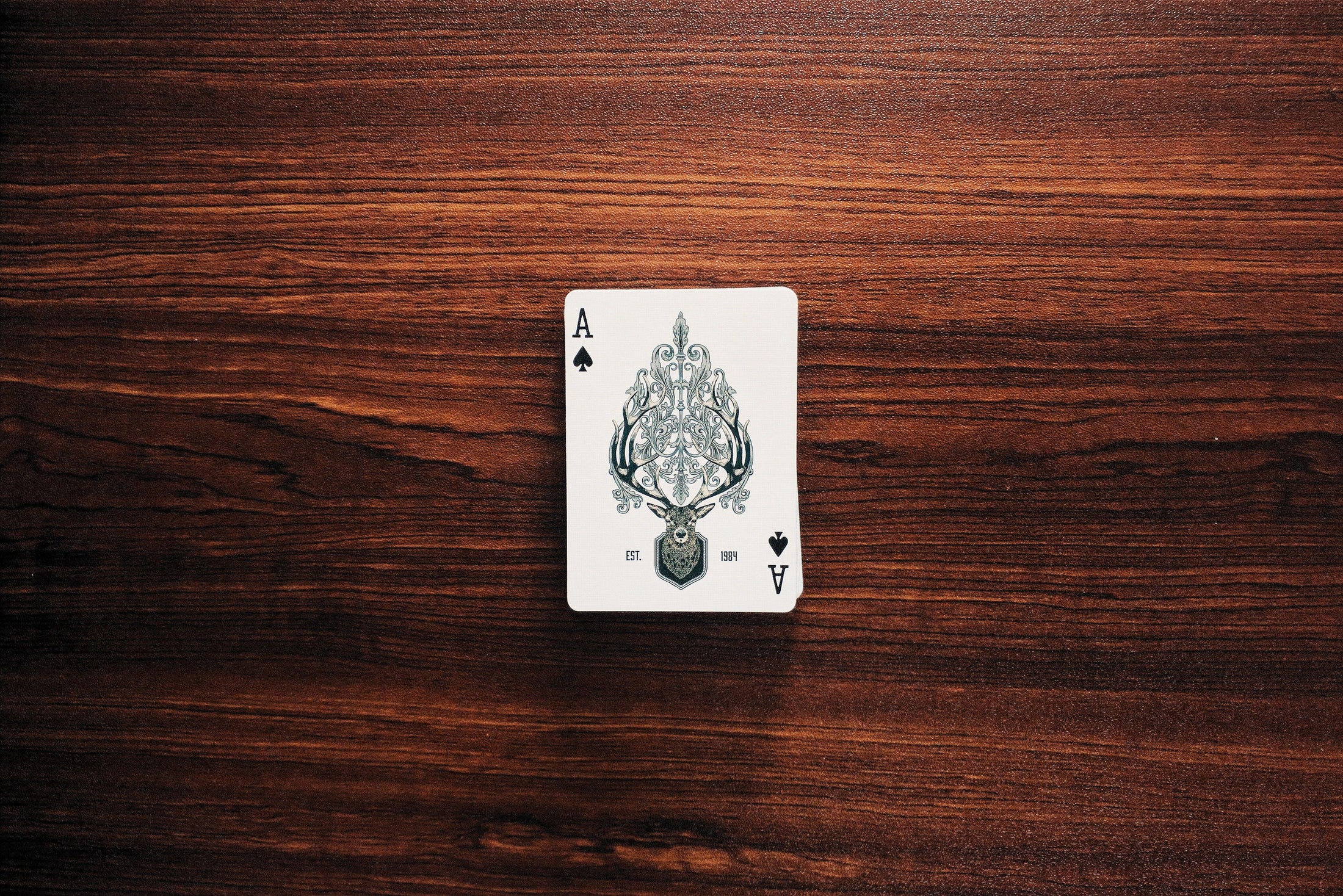 The Complete Magic Course for Beginners – My Magic Course