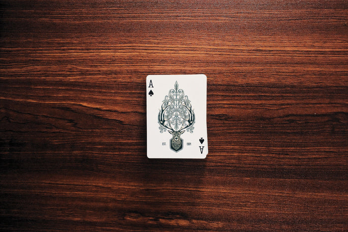 The Complete Magic Course for Beginners – My Magic Course